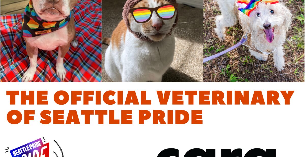 Introducing the Pet Pit Stop: Cara Veterinary Is Bringing the Pride for ...
