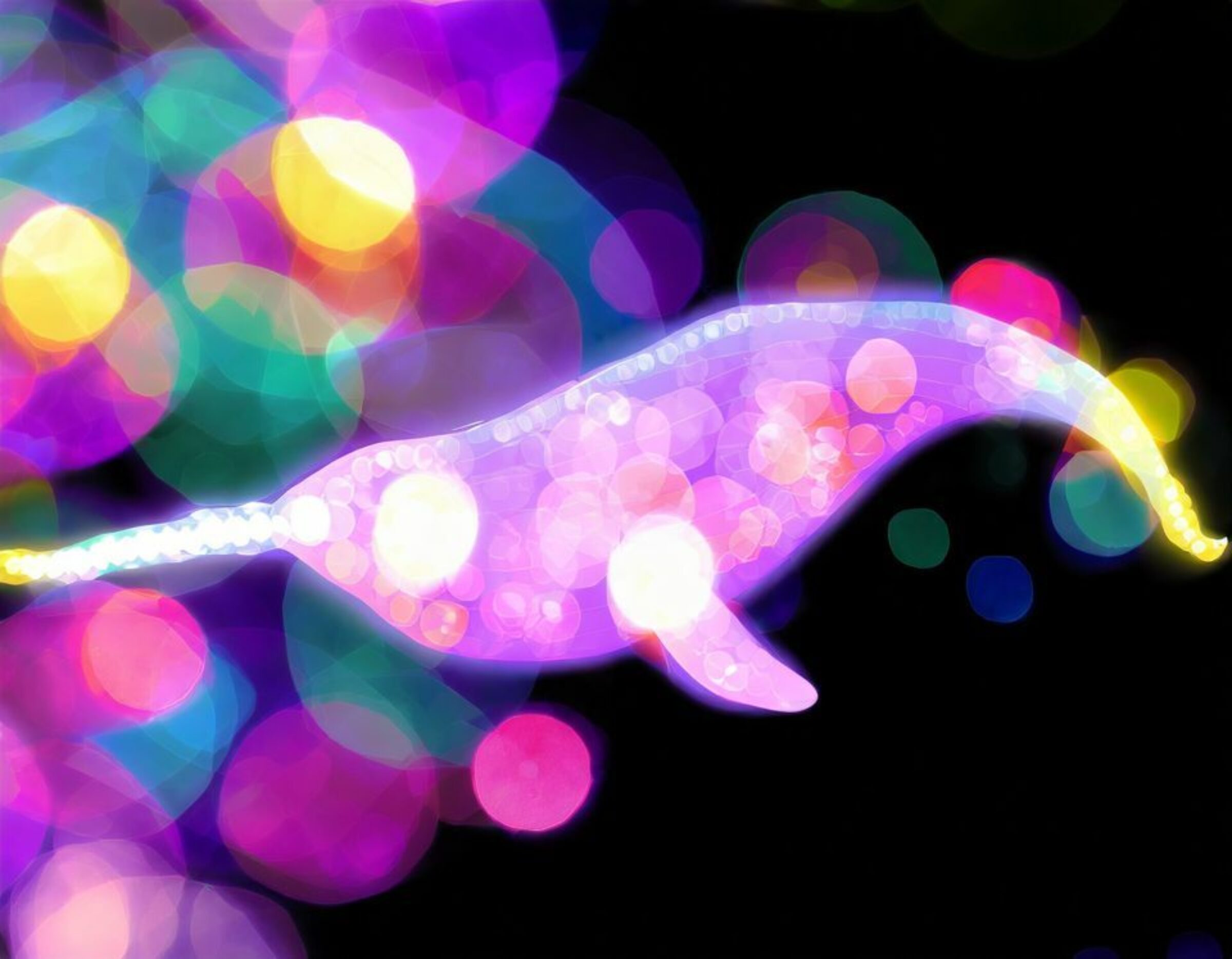 The Pantastic Bi-Mo Bi-Bar Pride 2024 | Events | Seattle Pride