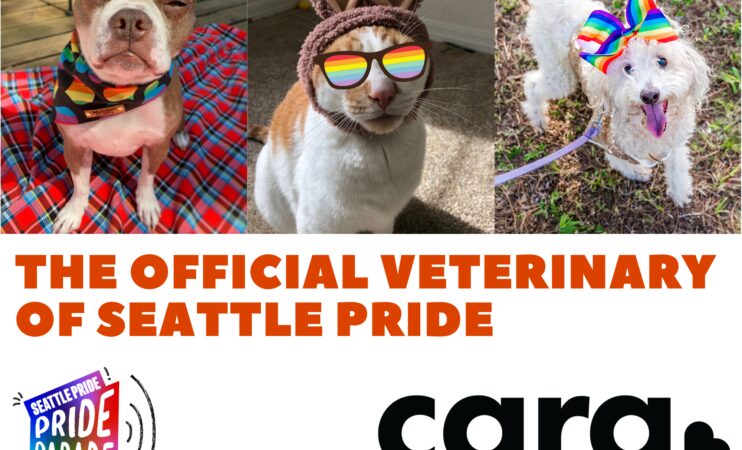 Home | Seattle Pride